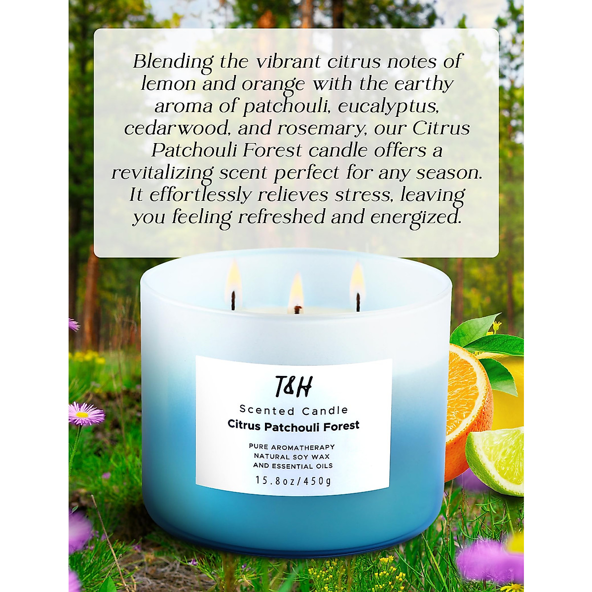 Large Citrus Patchouli Eucalyptus & Cedar Forest 3-Wick Candle - Highly Scented Natural Soy Candle for Home & Office 15.8 oz - Aromatherapy Stress Relief Candle, Refreshing Gift Candle for Women & Men