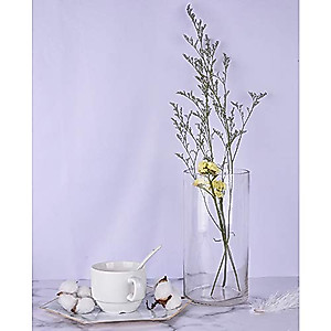 3 Pack Clear Glass Cylinder Vases, Table Flowers Vase,for Wedding Decorations and Formal Dinners (8 Inch)