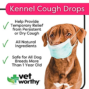 Vet Worthy Kennel Cough Drops for Dogs - Dog Supplement for Dry Kennel Cough Relief - Dog Cough Remedy with Drosera Rotundifolia, Arsenicum Album, Spongia Tosta - 0.5oz