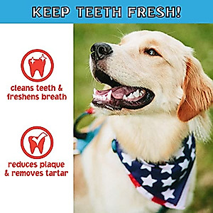 Pet Factory Twistedz American Beefhide 5" Twist Sticks Dog Chew Treats w/ Real Beef Meat Wrap - 20 Count/1 Pack