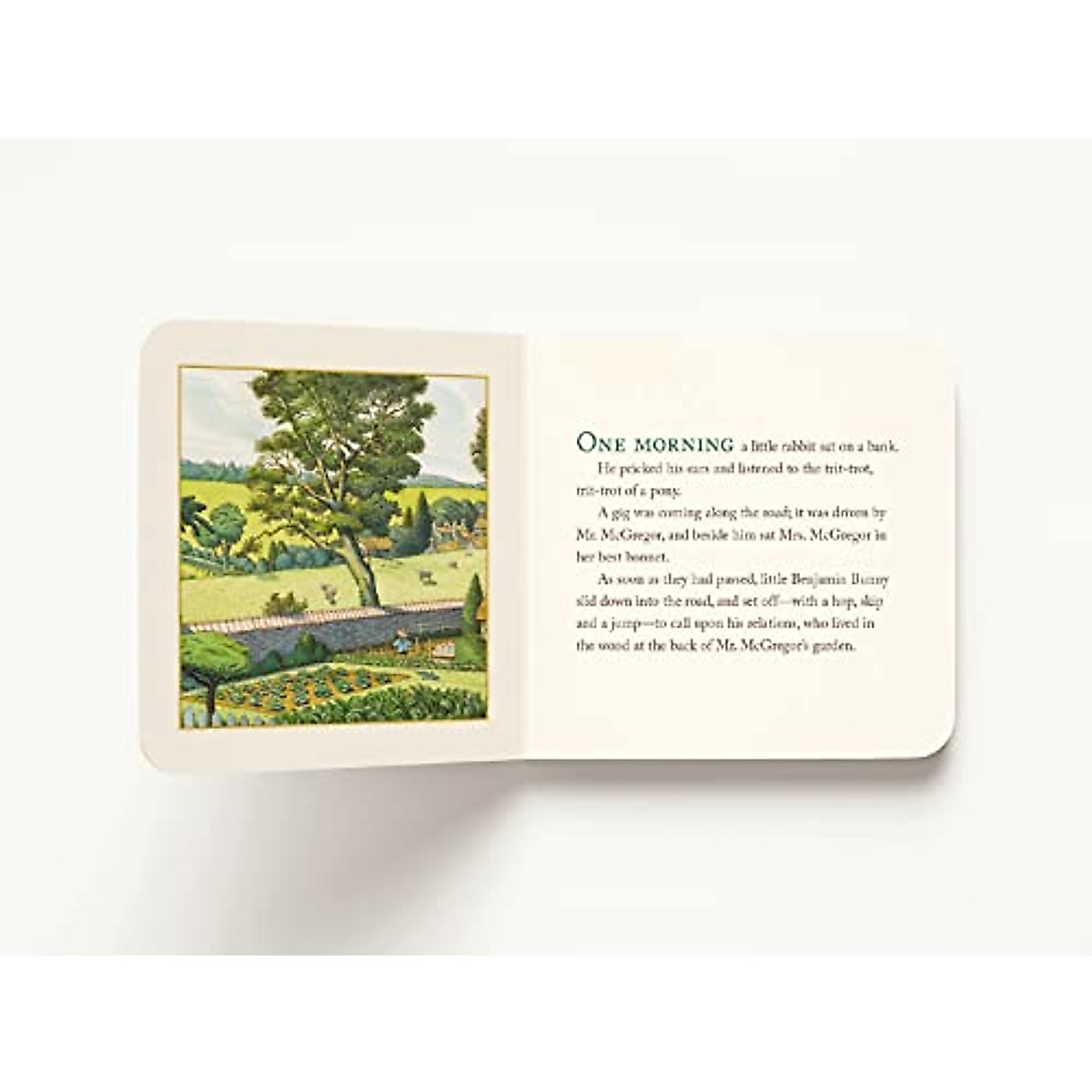 The Peter Rabbit Classic Collection (The Revised Edition): A Board Book Box Set Including Peter Rabbit, Jeremy Fisher, Benjamin Bunny, Two Bad Mice, ... Children's Classics With Valuable Lessons)