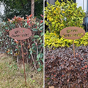 Grow Dammit Funny Garden Stake Metal Sign,Outdoor Sign Farmhouse Decor,Garden Stakes Sign Funny Gardening Gifts with Gift Box for Outdoor Lawn Yard Garden Decorations (23.6 Inches Tall)