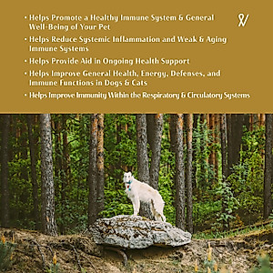 2024 Everpath Upgraded Immune Support for Dogs and Cats - 2 Fluid Ounces/60mls | USA Made| Strengthens & Improves Immune Health | Supports Overall Health and Vitality | Natural Solution for Pets