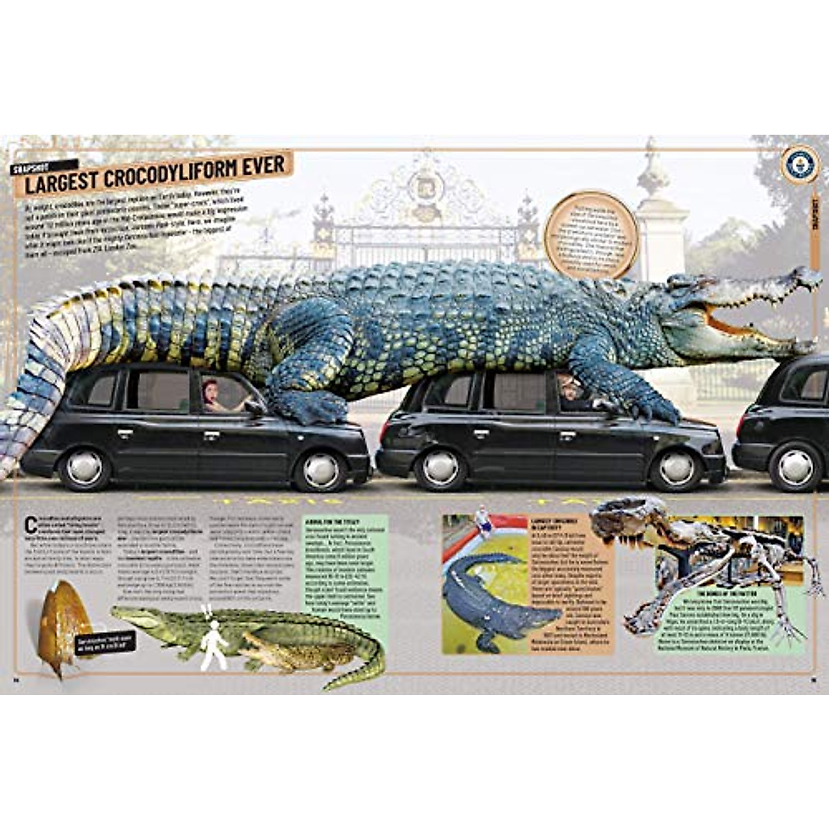 Guinness World Records 2020