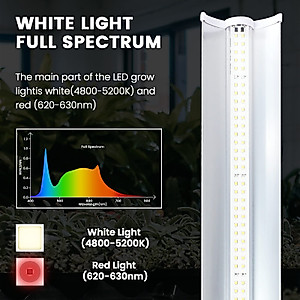 iPower 2 Feet LED Grow Light Stand Natural White Full Spectrum for Indoor Plant Starting Seeds and Propagating Cuttings, Height Adjustable