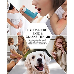 Beeswax Scented Candles Gift Set, Pumpkin Apple Cinnamon Cedar Candles Hypoallergenic Relaxing Aromatherapy Jar Candles for Home Scented, 80 Hours Burn Time, 4 Pack 2.6oz