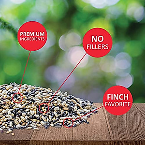 Lyric Finch - Small Songbird Wild Bird Seed - Attracts Goldfinches, House Finches, Purple Finches & More - 5 lb. Bag
