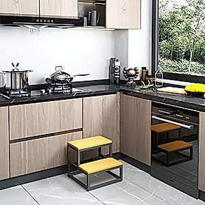 Step Stools for Bedside for Adults with 400lb Load Capacity -Assembly Required(Ebony)