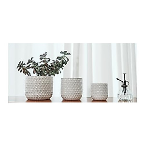 Docrin Ceramic Plant Pots Indoor: 6.5+5.3+4 Inch Planters with Drainage Holes for Home/Office - Set of 3 / White Honeycomb