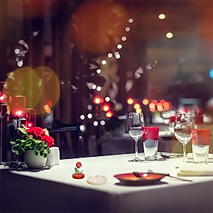 ULTECHNOVO 2pcs Glass Dome Glass Cloche Clear Display Case Cloche Dome Small Display Case Display Cases for Collectibles Glass Case for Display Figures House Decorations for Home Match Cloche