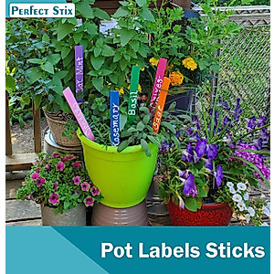 Perfect Stix - PAINT12-100 12" Wooden Paint Paddle Stirrer Sticks Length (Pack of 100)