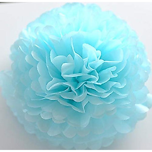 Twinkle Twinkle Little Star Gender Reveal Party Supplies Baby Shower Decorations Baby Blue Pink Paper Lanterns Pink Blue Gold Star Garland for Pink Blue Decorations/Gender Reveal Decorations