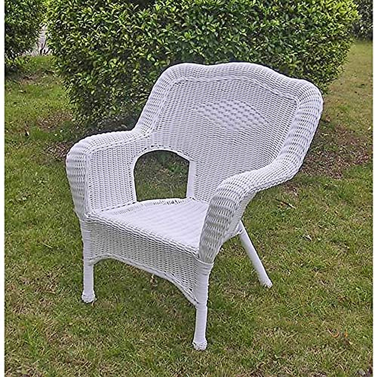 International Caravan Furniture Piece Camelback Resin Wicker Patio Chairs (Set of 2)