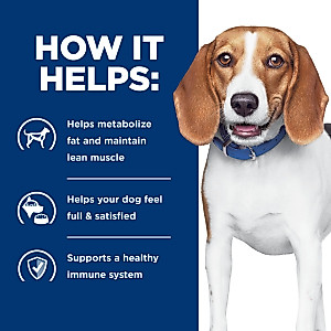 Hill's Prescription Diet r/d Weight Reduction Wet Dog Food, Veterinary Diet, 12.3 oz. Cans, 12-Pack, White