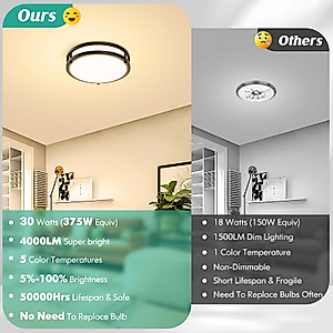 Flush Mount Ceiling Light Black, 30W 4000Lm 5CCT Dimmable LED Ceiling Light Fixture, 2700K/3000K/4000K/5000K/6500K Adjustable 10 Inch for Hallway Bedroom Bathroom Kitchen Closet Offices, Set of 2