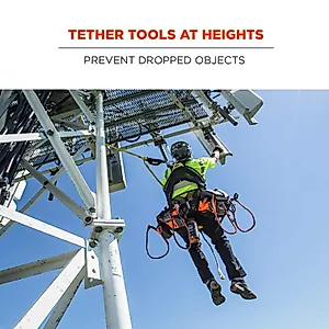 Ergodyne - 19822 Shock Absorbing Tool Lanyard with Two Self-Locking Carabiners, Tool Weight Capacity 10lbs, Squids 3110, Gray, Standard (3110F(x))