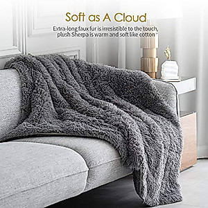 Mr. Sandman Shaggy Faux Fur Weighted Blanket 15 lbs for Adult, Luxury Long Fur and Warm Soft Sherpa Heavy Blanket Throw for Twin/Full Size Bed, Couch, Sofa - 48"×72", Modern Grey