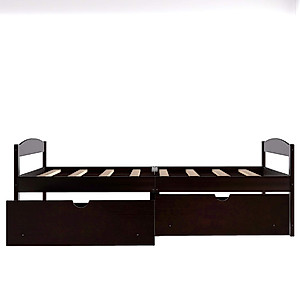 Lifeand Twin Size Daybed with 2 Drawers,Wood Storage Platform Bed for Kids Teens and Adults,No Box Spring Needed,Espresso