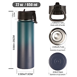 Volhoply Insulated Water Bottles with Straw Bulk 2 Pack, 22 oz Stainless Steel Sports Bottle with Handle Lid,Double Walled Metal Water Thermos with Wide Mouth,Reusable Cold Water Flask(Assorted,2 Set)