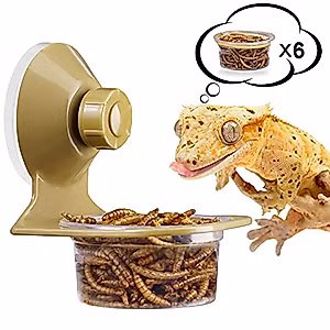 Fischuel Reptile Feeder Chameleon Lizard Feeding Cup with Suction Cup Gecko Transparent Fodder Container, Comes with 6 Packs Plastic Bowls(Adjustable Spiral Arms)