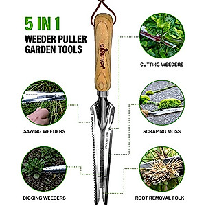 Gardtech Weeder Puller, Hand Weeder Tool, Weeding Trowel, Garden Weeding Tools with Wooden Handle Stainless Steel Head for Easy Weeder Removal, Transplanting, Pruning, Digging Multi Use Gardening Tool