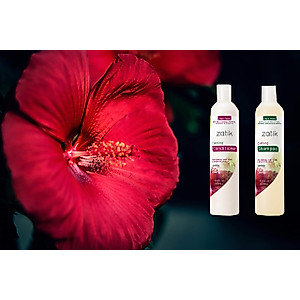 Zatik Naturals - Calming Shampoo with Jasmine & Wild Cherry - Normal to Dry Hair, Sensitive Scalp, Bio-degradable, pH Balanced, Vegan, FREE FROM Sulfates, Parabens, fragrances, and phthalate, 10.8 oz