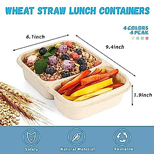 4 Pack Bento Lunch Box for Kids Adults, 2 Compartments Lunch Containers, Reusable Meal Prep Containers with Lids, Microwave & Dishwasher Safe, Divided Food Prep Containers for Travel, School ＆ Work