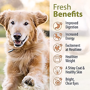JustFoodForDogs Pantry Fresh Dog Food, Human Grade Chicken & White Rice (12 Pack)
