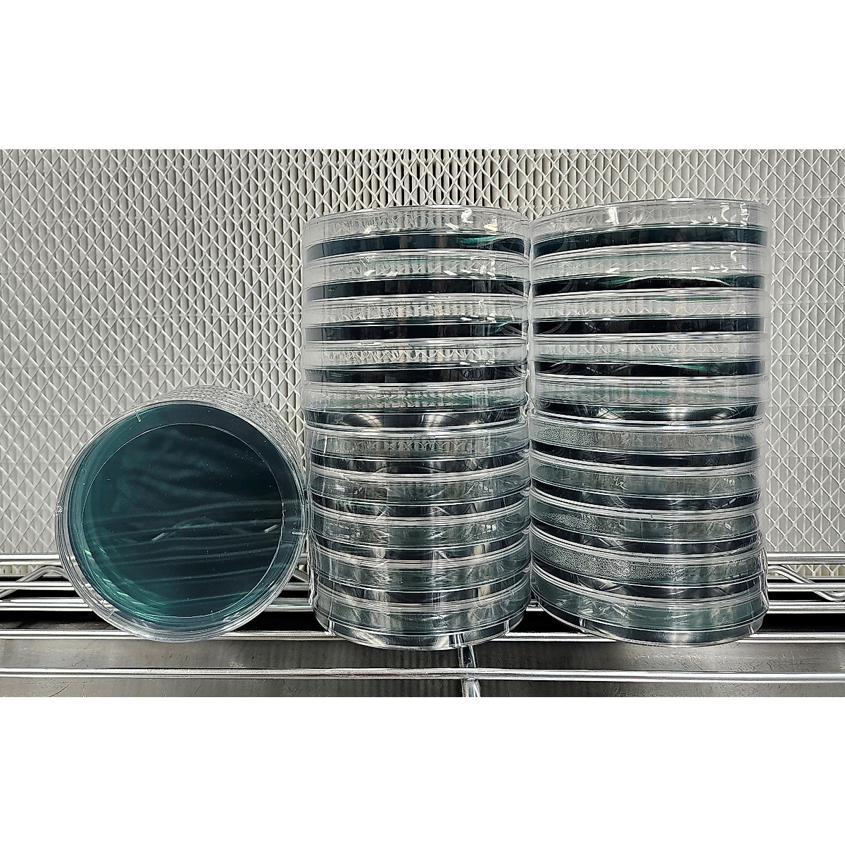 Booming Acres Colored Potato Dextrose and Yeast Agar | Prepoured Premade Sterile Petri Dish 20 Pack