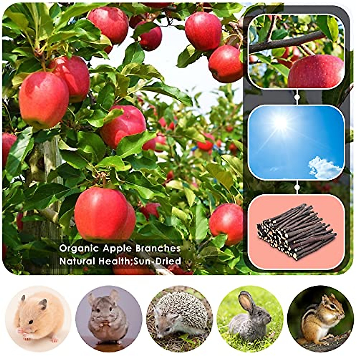 ERKOON 300g or 500g Natural Apple Sticks Small Animals Molar Chew Toys Apple Branch Chew Treats for Hamster Rabbit Chinchilla Bunny Guinea Pig Squirrel 