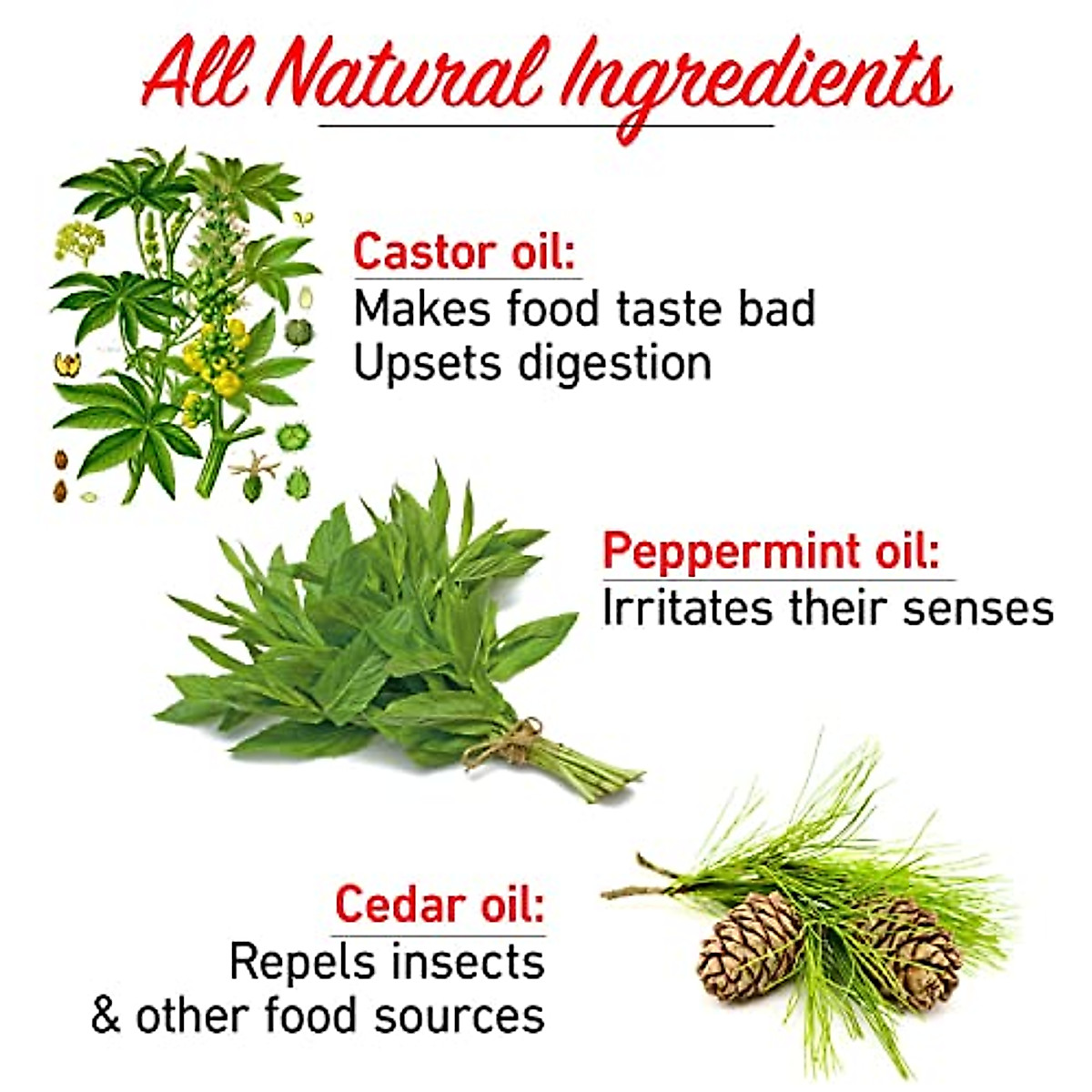 I Must Garden Mole & Vole Repellent: Professional Strength – Twice The Coverage – All Natural Ingredients - Pleasant Scent - 10lb