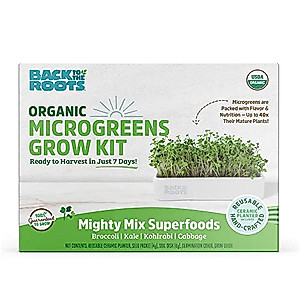 Back to the Roots 43002 Organic Microgreens Grow Kit with Ceramic Planter