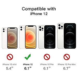 JETech 3 in 1 Case for iPhone 12 6.1-Inch, with 2-Pack Screen Protector and 2-Pack Camera Lens Protector, Non-Yellowing Shockproof Bumper Phone Cover, Full Coverage Tempered Glass Film (Clear)