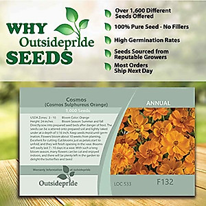 Outsidepride Cosmos Sulphureus Orange Garden Flowers - 2000 Seeds