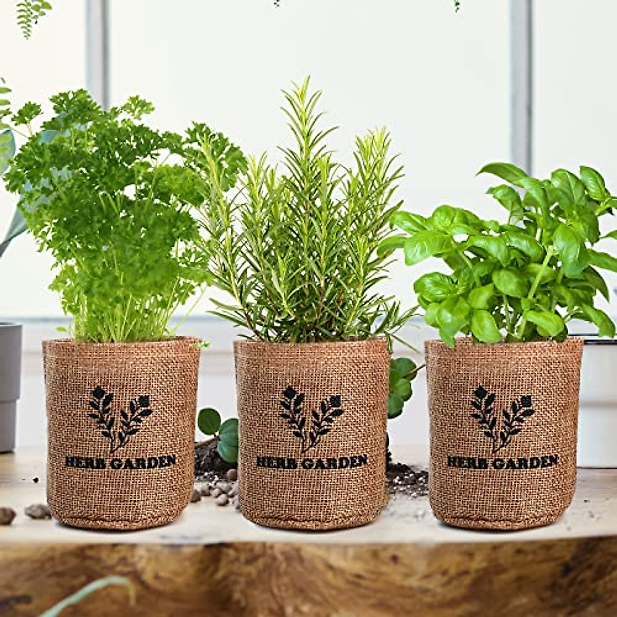 Indoor Herb Grow Kit, 5 Herb Seeds Garden Starter Kit with Complete Planting Kit & Wooden Flower Box, Growing into Basil, Parsley, Rosemary, Thyme, Mint for Kitchen Windowsill Herb Garden DIY