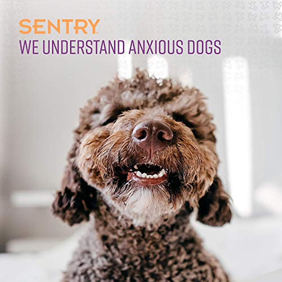 SENTRY PET Care Sentry Calming Spray for Dogs, Uses Pheromones to Reduce Stress, Easy Spray Application, Helps Dogs with Separation, Travel, Loud Noises, and Anxiety, Packaging May Vary