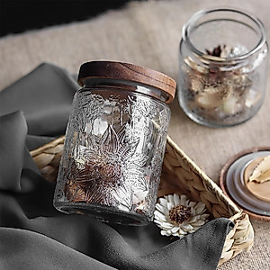 Custde Vintage Glass Jar, 23.7oz Airtight Glass Storage Jar with wooden Lid Glass Food Storage Containers for Kitchen Counter, Decorative Jar for Coffee, Tea, Sugar, Candy Jar, Cute Jar