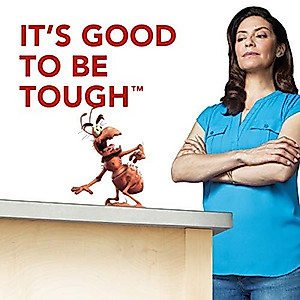 Raid Max Double Control Ant Baits, Household Use Defense System to Control Bugs, Dual Bait Technology (0.28 Ounce (Pack of 1))