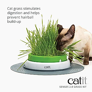 Catit Cat Toys Cat Grass Seeds (Set of 3)
