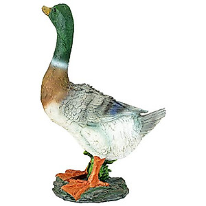 Design Toscano QM18989 Mallard Duck Animal Garden Statue, 13 Inch, Polyresin, Full color