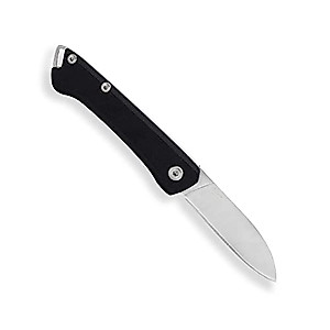 Buck Knives 250 Saunter Slip-Joint Folding Pocket Knife, 2 3/8" 154CM Blade, Micarta Handle
