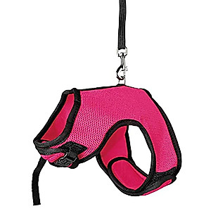 Trixie Pet Product 61512 Soft Harness with Leash for Small Animals Medium
