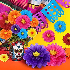 18 Pcs Mexican Paper Flowers Colorful Fiesta Tissue Paper Flowers Pom Poms Mexican Carnival Paper Flowers for Floral Party Backdrop Wedding Birthday Party Craft, 6" 8" 10"