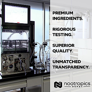 Nootropics Depot PrimaVie Shilajit Capsules | 250mg | 90 Count | Purified Extract | Ayurvedic Herb | Supports Mitochondrial Function + Boosts Endurance