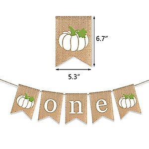 Gankbite White Pumpkin One Banner Fall 1st Birthday Decoration Cake Smash Photo Prop Little Pumpkin Autumn Party Supplies