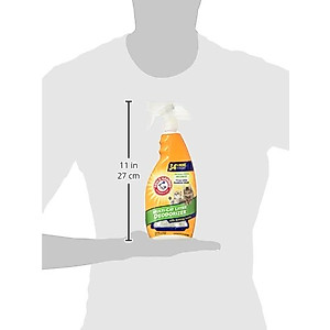 Arm & Hammer Litter Deodorizing Spray - 21.5 oz
