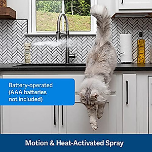 PetSafe SSSCAT Spray Pet Deterrent, Motion Activated Pet Proofing Repellent for Cats and Dogs, Environmentally Friendly