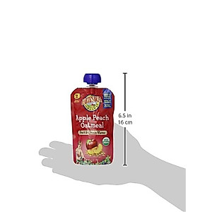 Earth's Best Organic Stage 2, Apple, Peach & Oatmeal, 4.2 Ounce Pouch (Pack of 6)