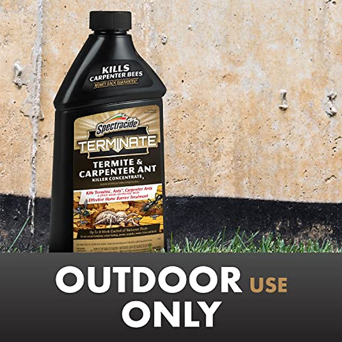 Terminate Termite and Carpenter Ant 32 fl oz Insect Killer