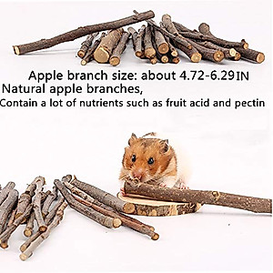 QHZHANG Hamster Chew Toys，24PCS Combined Chew Toys Molar Sticks Sweet Bamboo Apple Branch Molar Toy for Rabbits Pets Chinchilla Squirrel Gerbil Hamster Squirrel Guinea